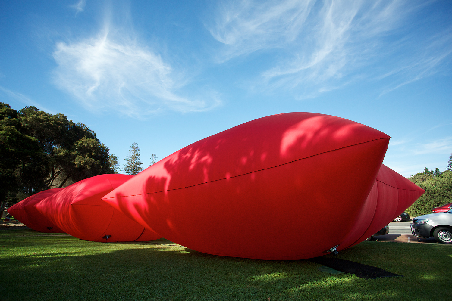 pillows: - Sculpture by the Sea