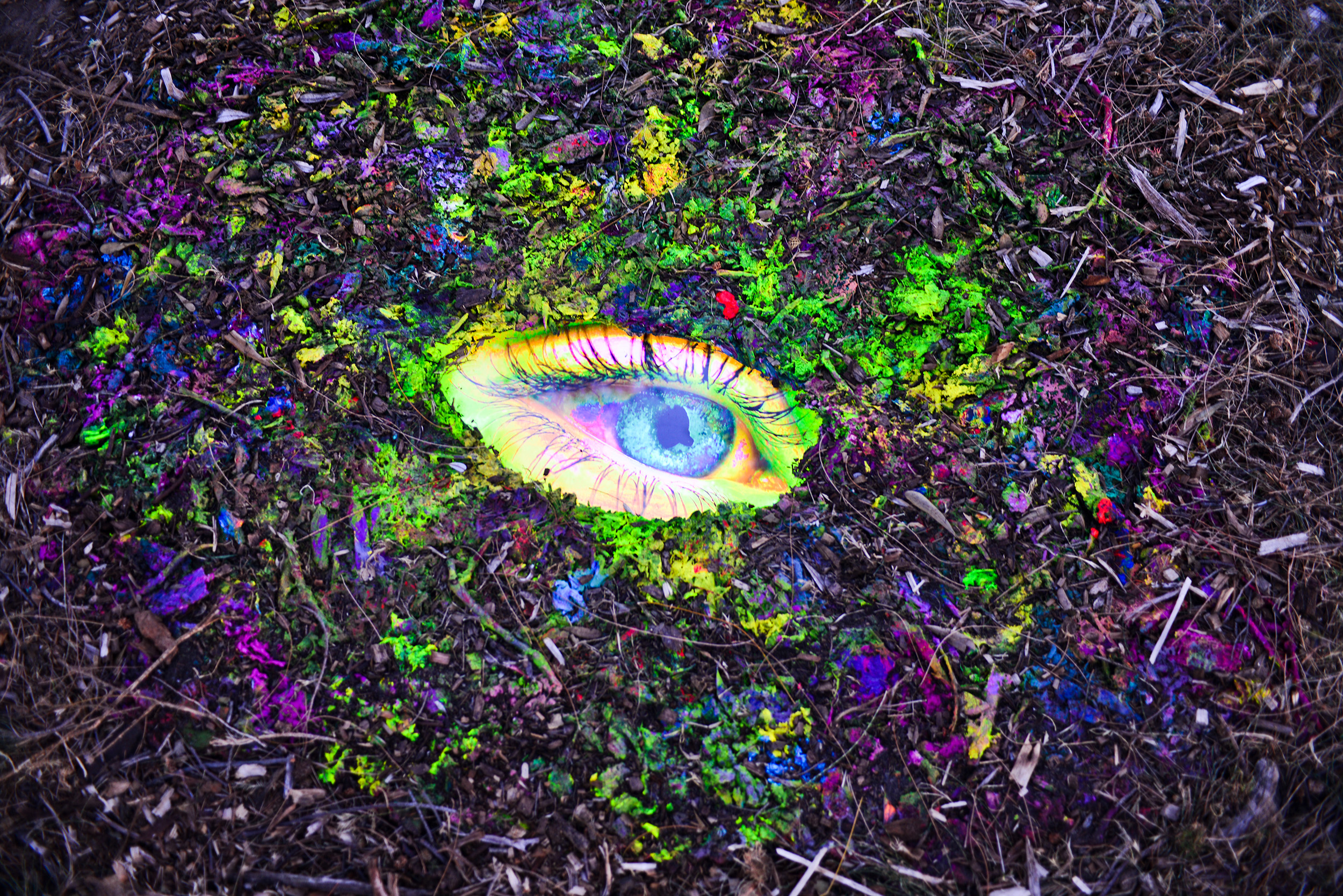 Eye: - Sculpture by the Sea