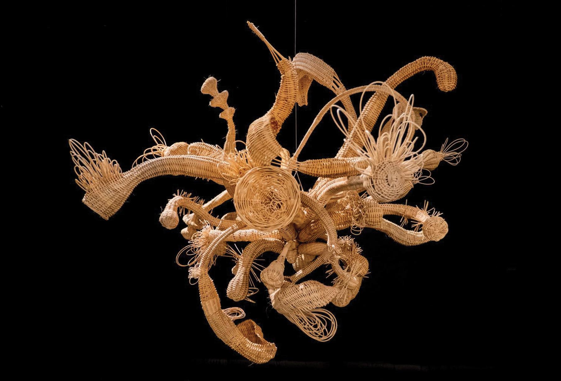 Fiona Gavino: - Sculpture by the Sea