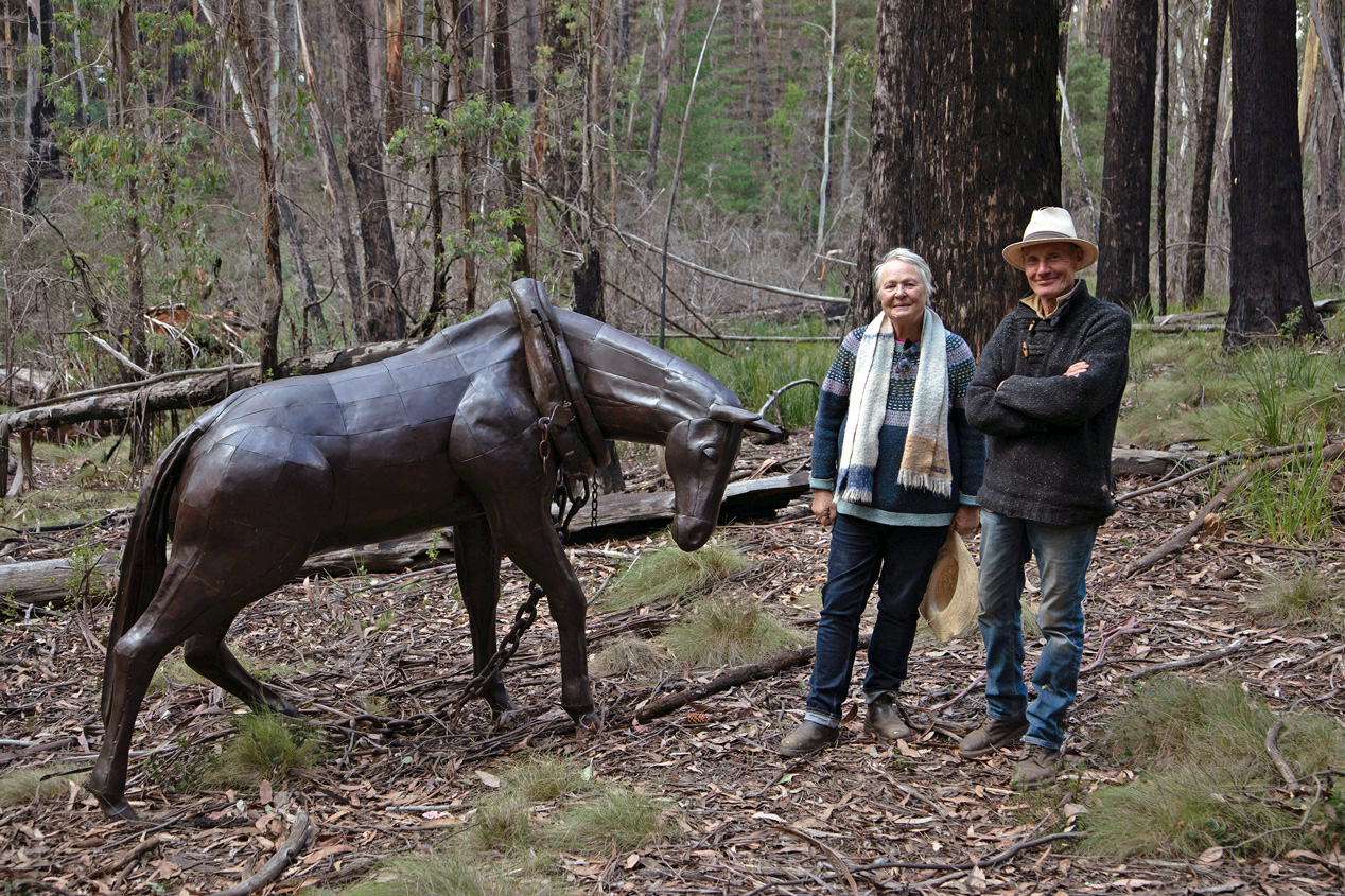 Andy Townsend & Suzie Bleach: - Sculpture by the Sea