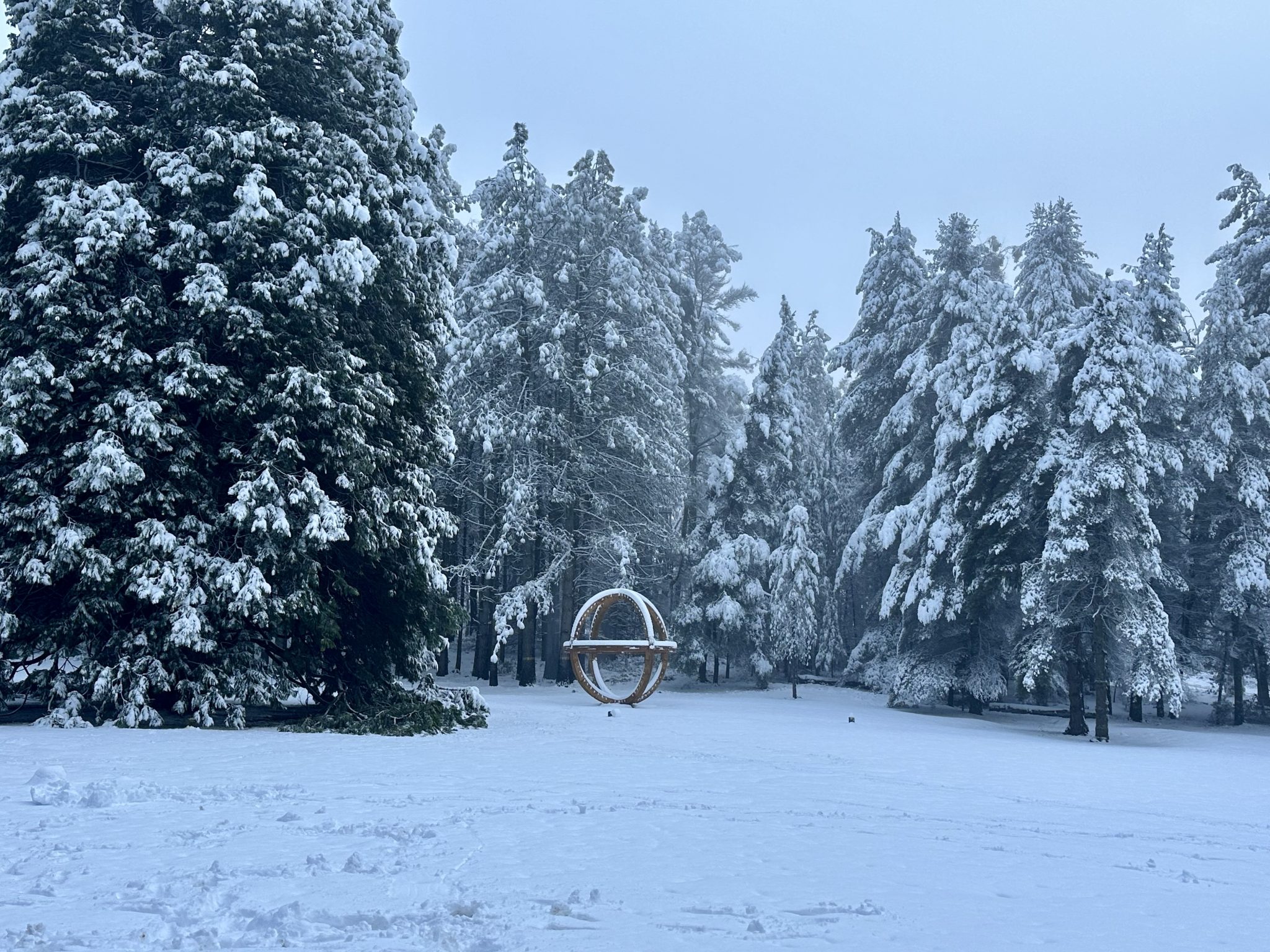 Winter Photography Competition is now closed: - Sculpture by the Sea
